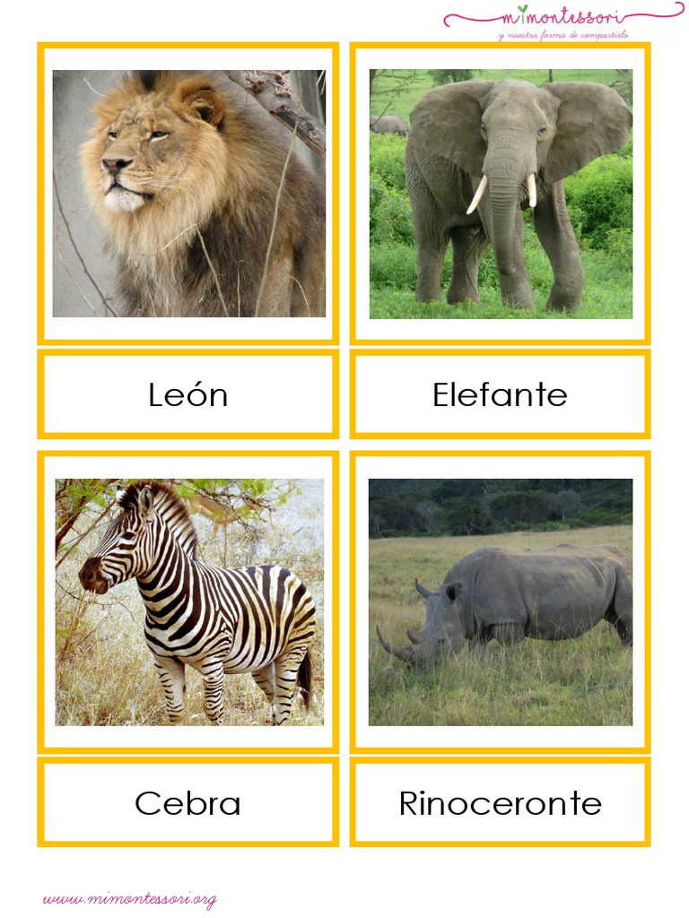 Animales de la Sabana: 100 Nombres | PDF