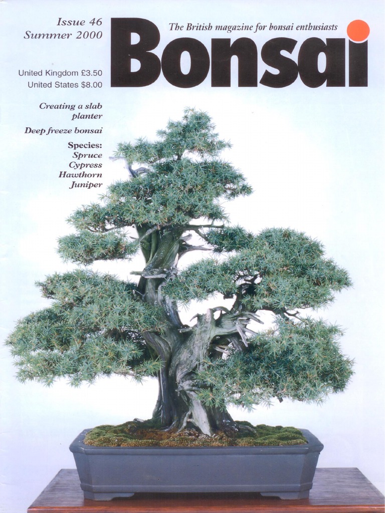 British Bonsai Magazine - Issue 46 PDF | PDF