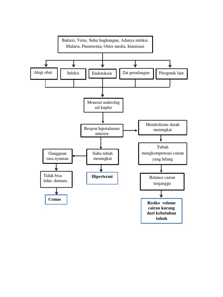 Pathway Febris | PDF
