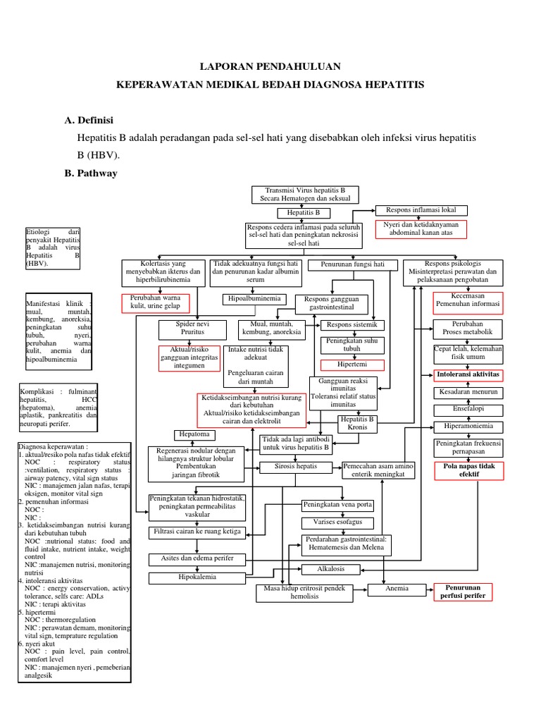 Patofisiologi dan Diagnosa Hepatitis B | PDF