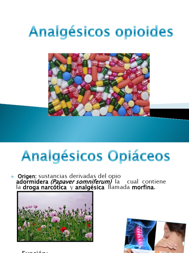 Analgesicos Opiaceos | PDF | Oxicodona | Drogas