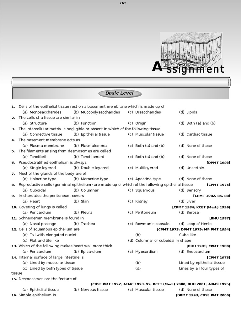 Animal Tissue Quiz Questions | PDF | Epithelium | Anatomy