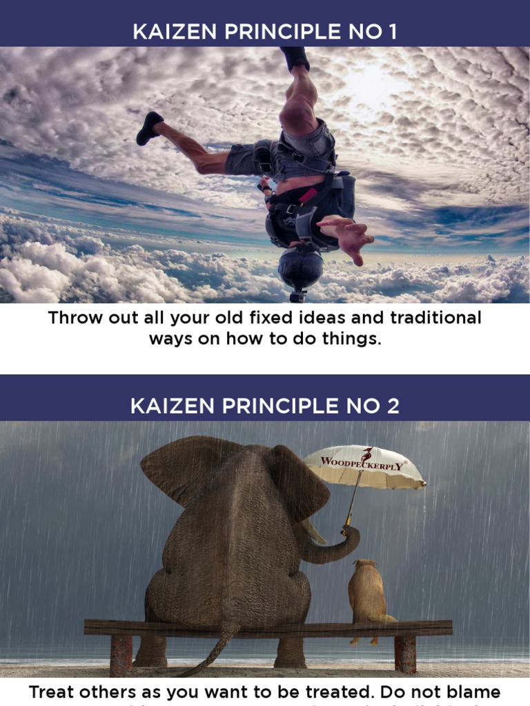 Kaizen Principle | PDF