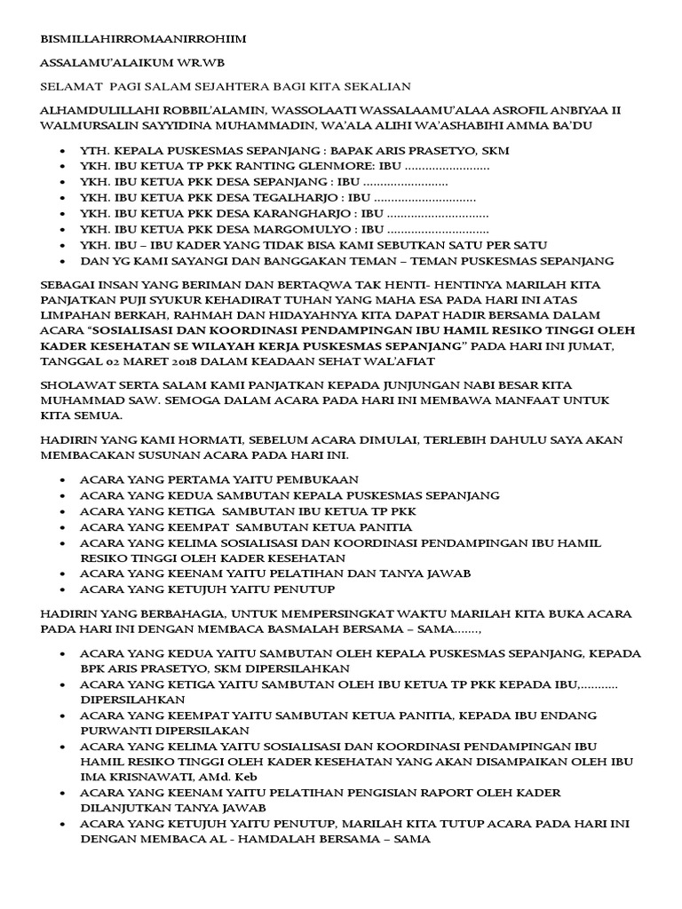 Susunan Acara Pendampingan Bumil Risti | PDF