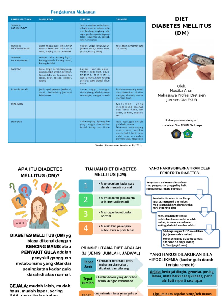 Leaflet Diet DM | PDF