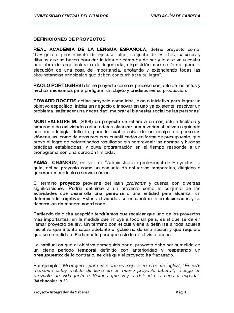 Definición de Proyecto | PDF | Planificación | Sociedad