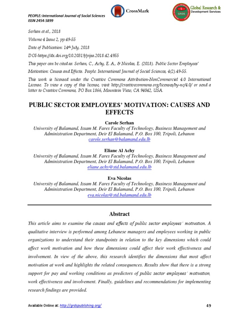 Public Sector Employees' Motivation Causes and Effects | PDF ...