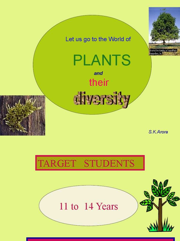Diversity Among Plants (Classification) | PDF | Perennial Plant | Plants
