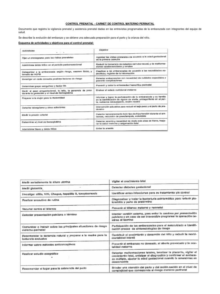 Guía de Control Prenatal y Materno | PDF
