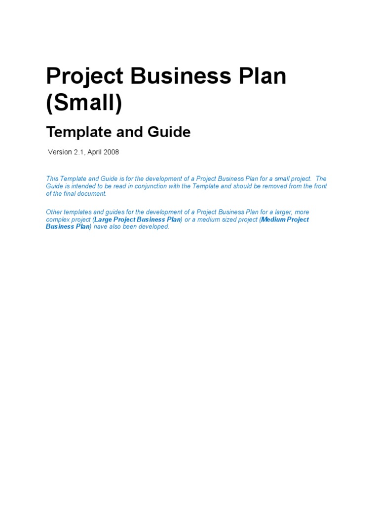 Project Business Plan Template and Guide for Small Projects | Risk ...