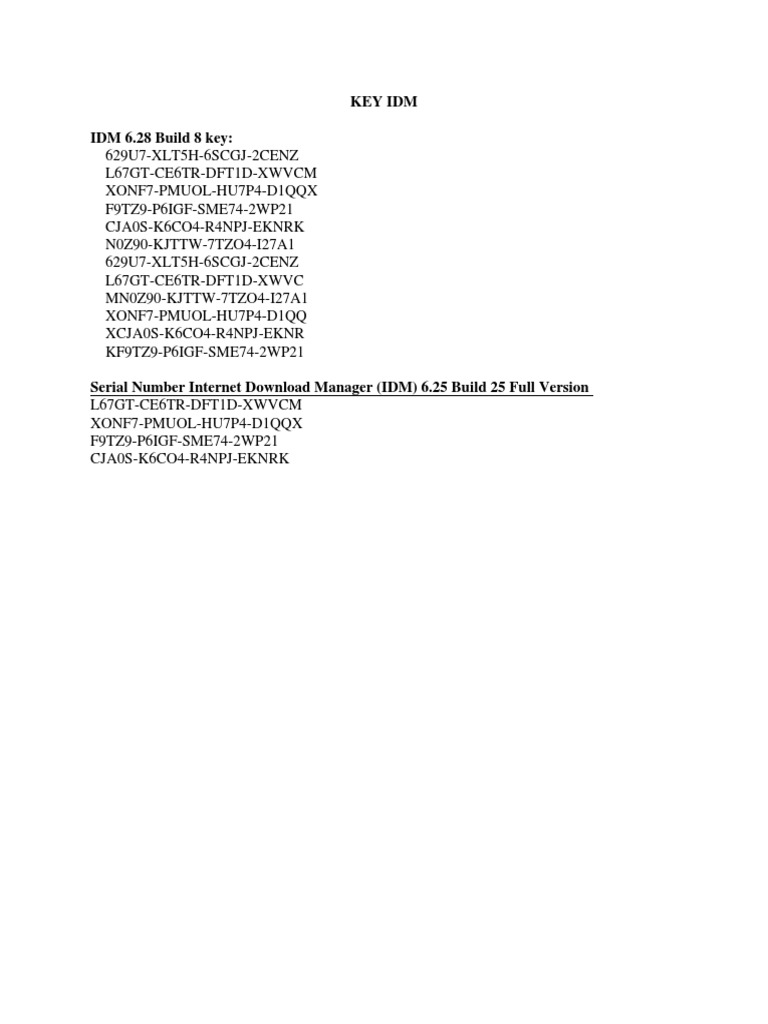 Key Idm IDM 6.28 Build 8 Key | PDF