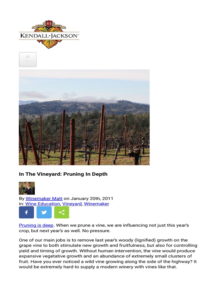 In The Vineyard: Pruning in Depth | PDF | Viticulture | Grape