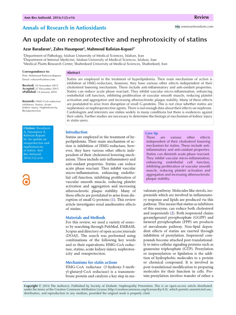 Statins Nephroprotective Effect | PDF | Statin | Apoptosis