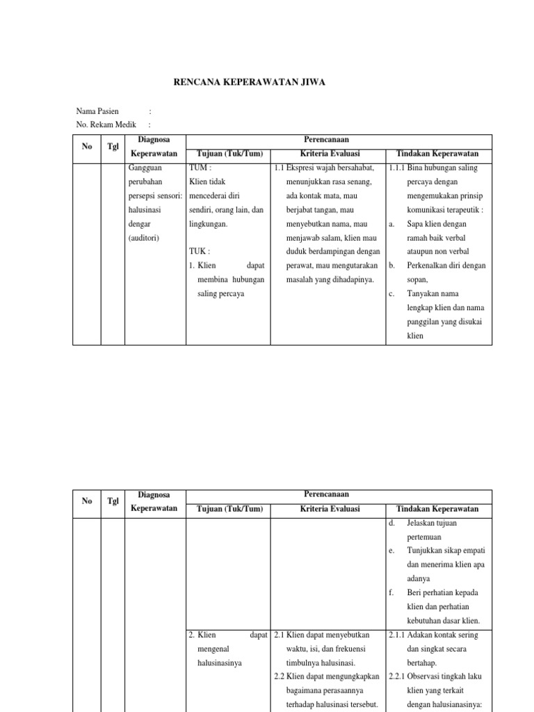 Rencana Keperawatan Jiwa Halusinasi | PDF