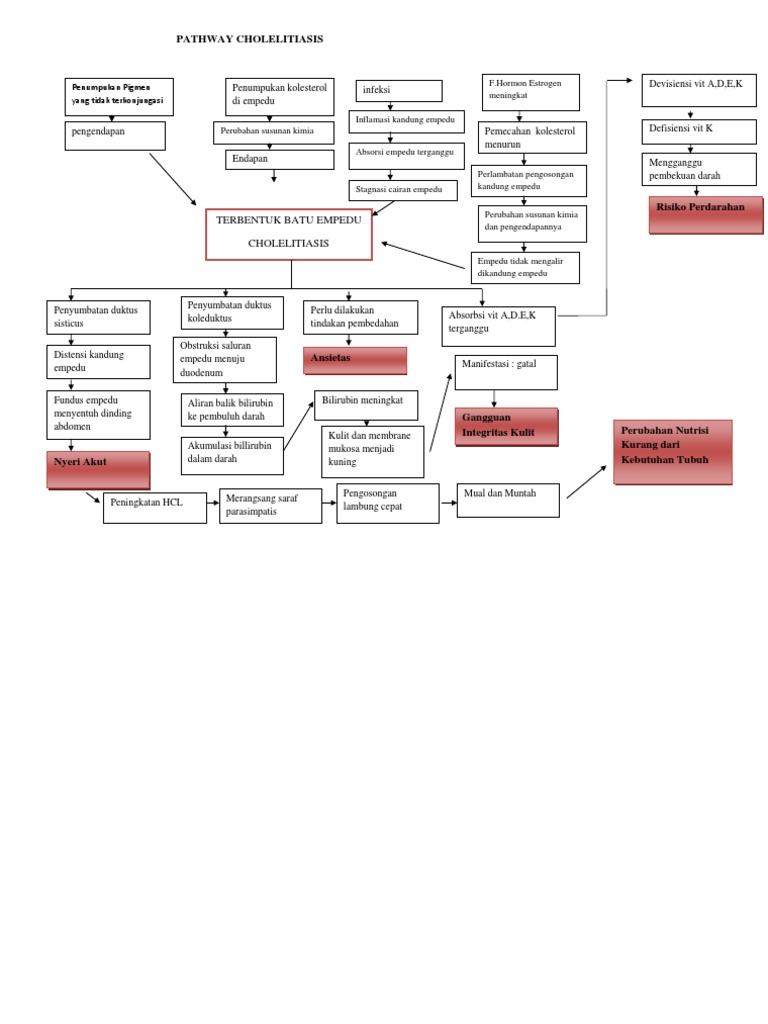 Pathway Colelitiasis | PDF
