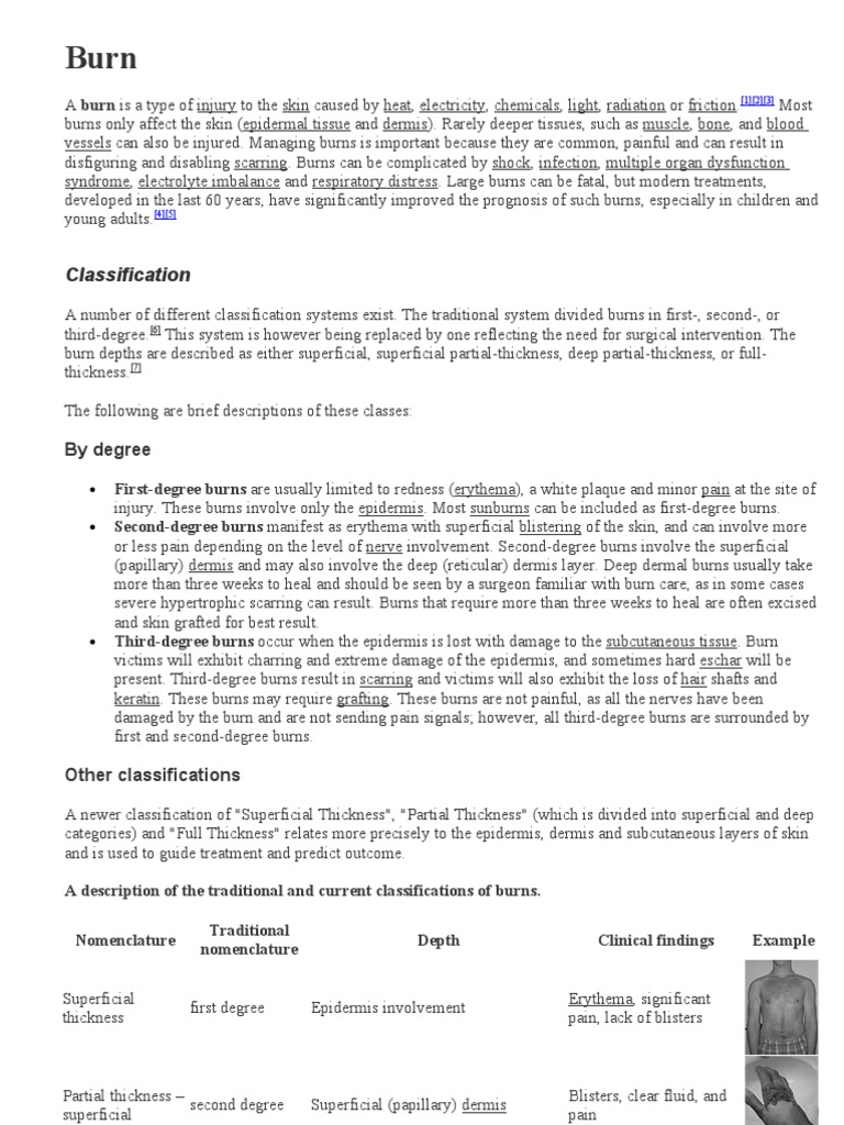 A Comprehensive Overview of Burn Classifications, Causes, and ...