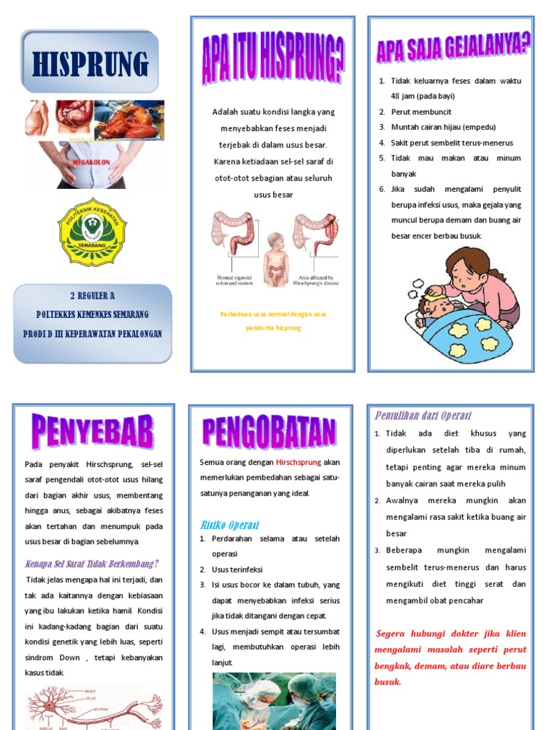 Leaflet Hisprung | PDF