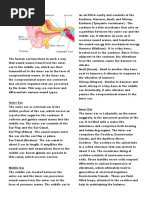 Grade 12 Life Science The Ear PDF | PDF | Ear | Hearing