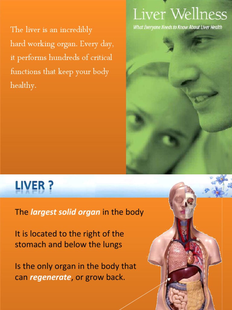 The Liver Is An Incredibly Hard Working Organ. Every Day, It Performs ...