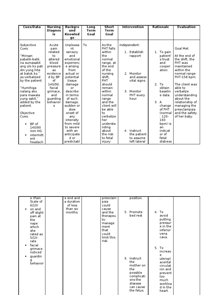 NCP Pain | PDF | Fetus | Medicine