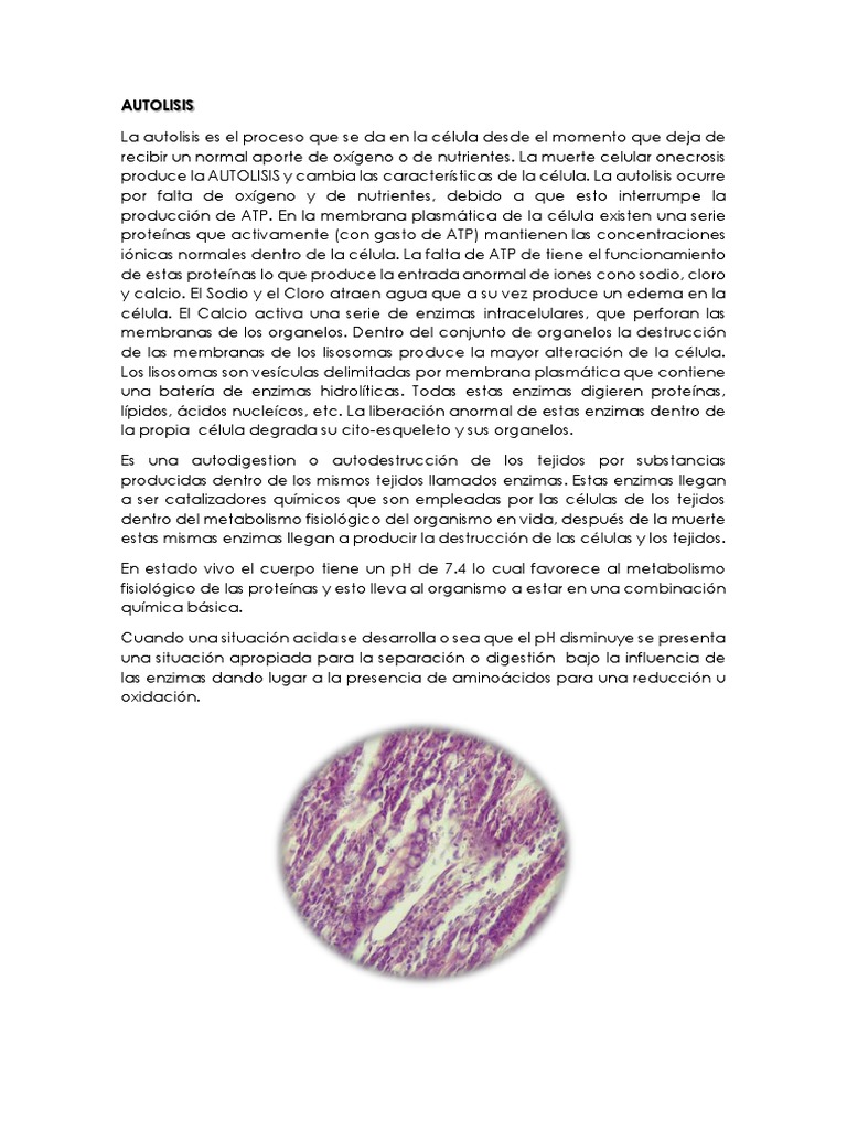 AUTOLISIS | PDF | Biología Celular) | Membrana celular