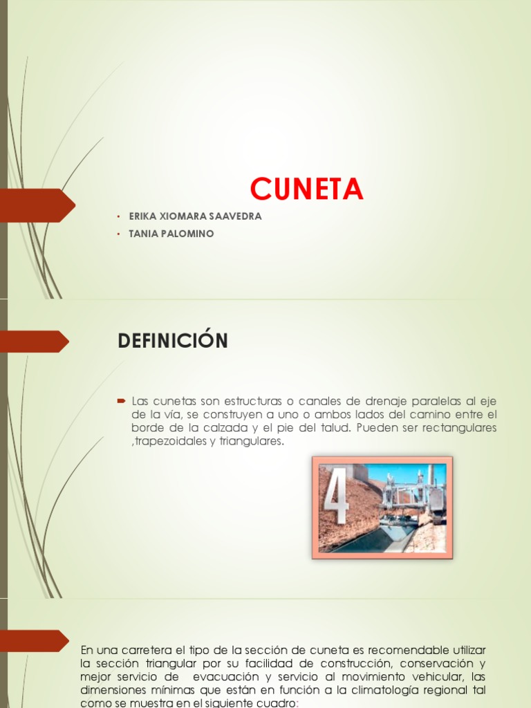 Definición y diseño de cunetas viales | PDF | La carretera | Precipitación