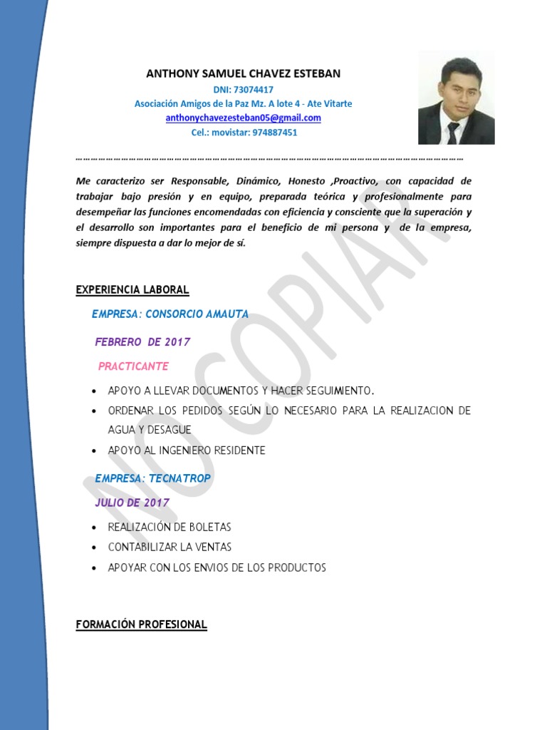 Modelo de Curriculum Vitae | PDF