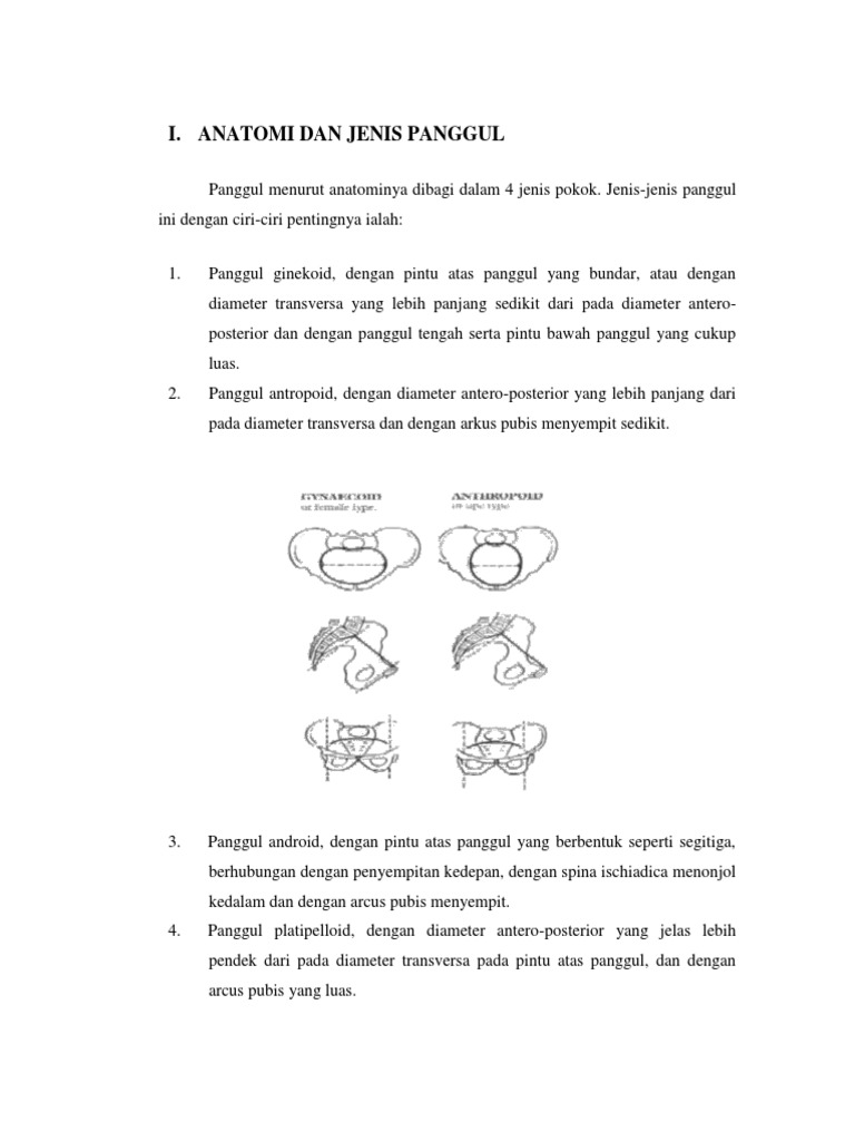 Jenis dan Ciri Panggul Manusia | PDF