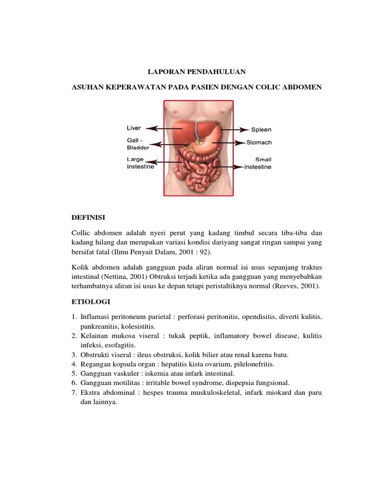 Laporan Pendahuluan Colic Abdomen | PDF