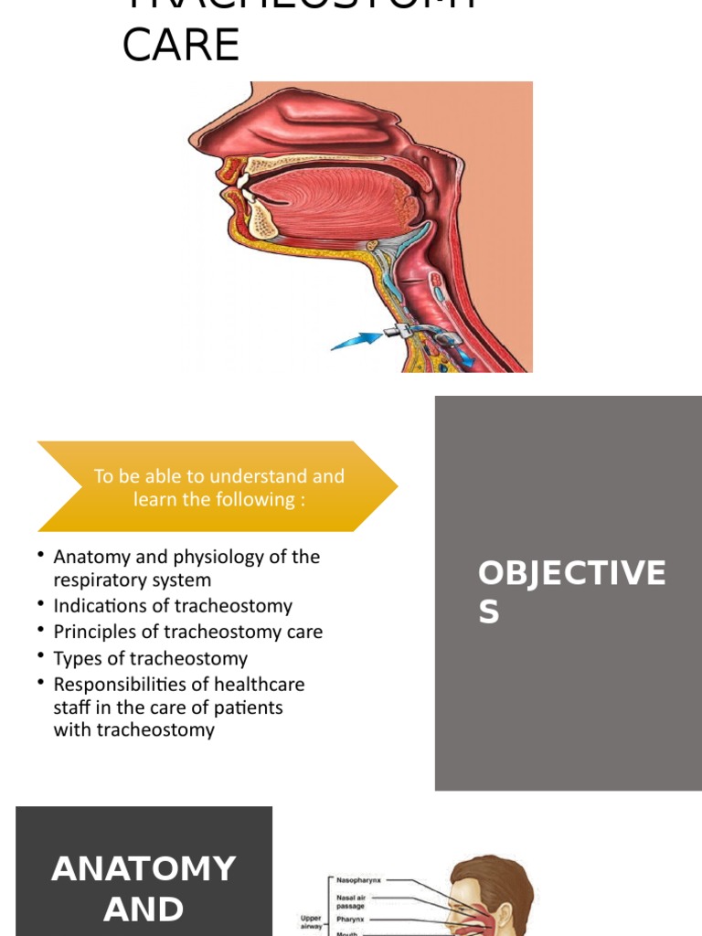 Tracheostomy care.pptx | Clinical Medicine | Respiratory System