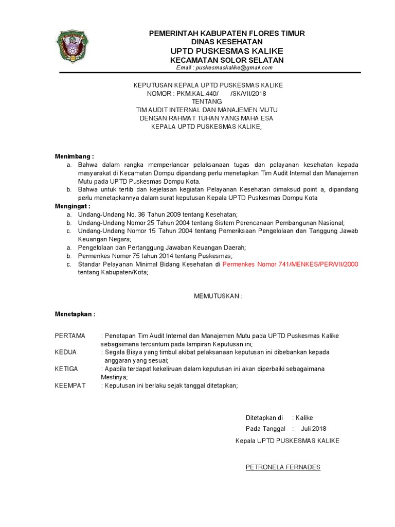 Contoh SK Audit Internal | PDF