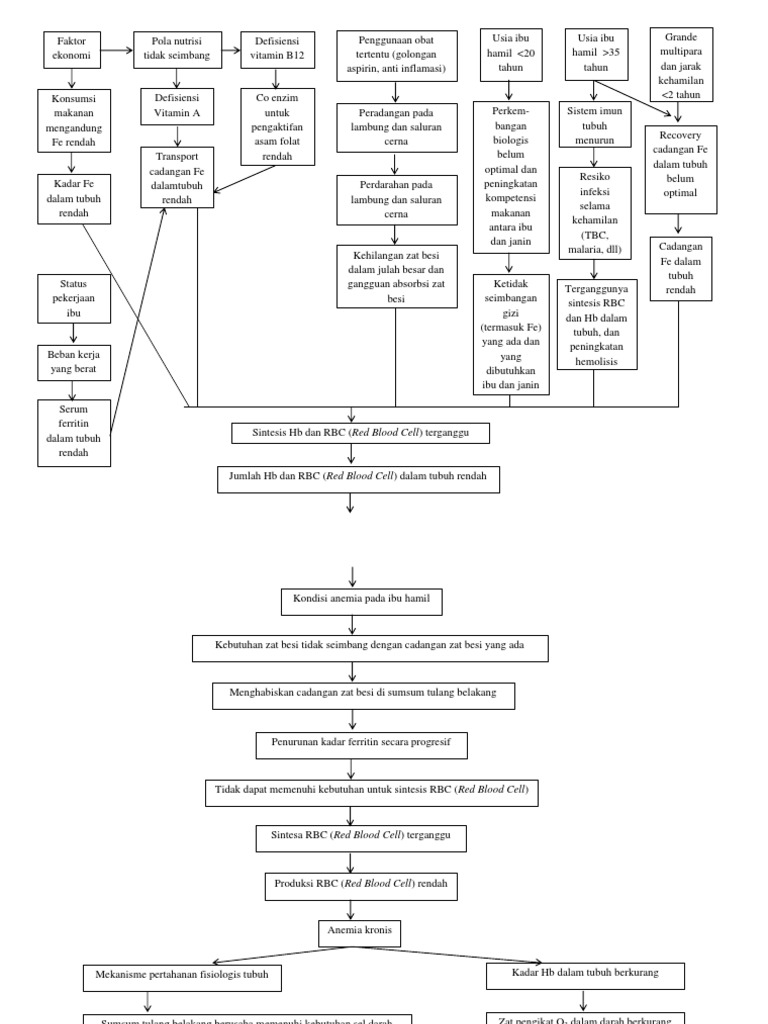 Pathway Anemia Pada Ibu Hamil