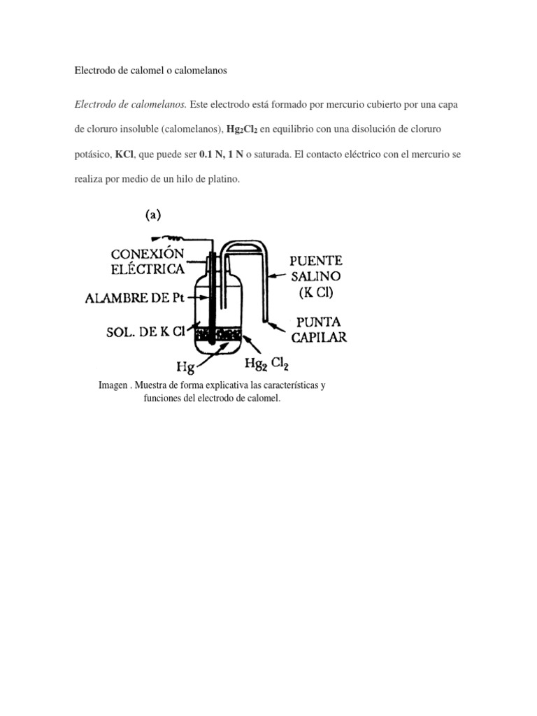 Electrodo de Calomel o Calomelanos | PDF | Electrodo | Elementos químicos