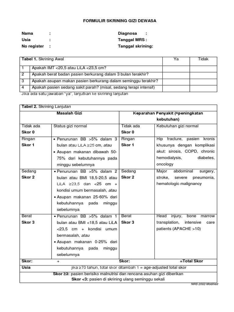 Form Skrining NRS 2002 Translated | PDF
