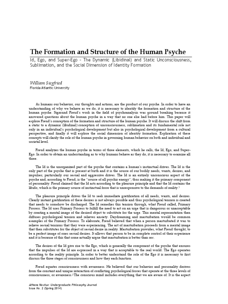 The Formation and Structure of The Human Psyche PDF | PDF | Id ...