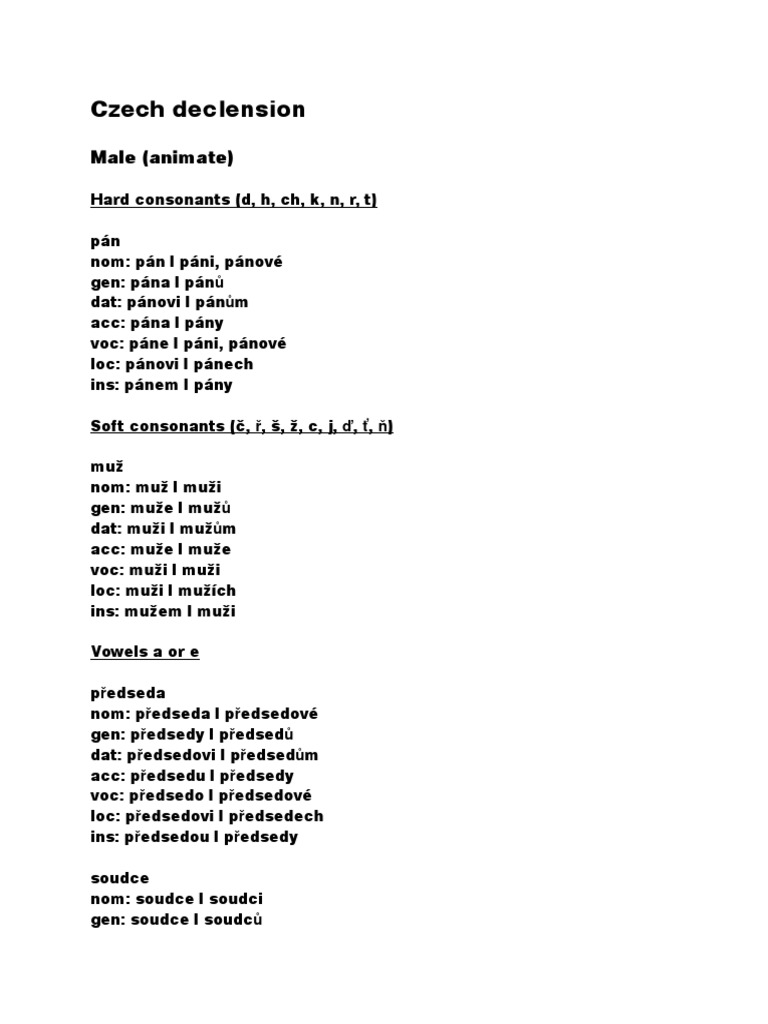 Czech Declension Cheat Sheet | PDF