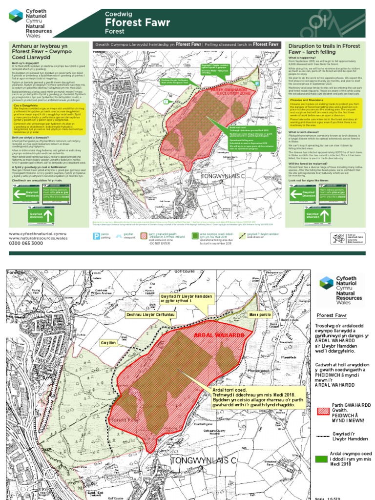 Fforest Fawr Larch Disease Maps by NRW | PDF