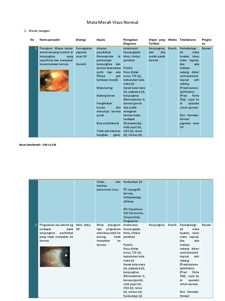 Mata Merah Visus Normal | PDF
