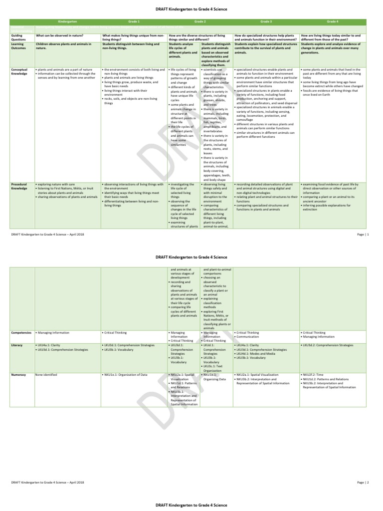 Science Draft K-4 Curriculum | PDF | Force | Reading Comprehension