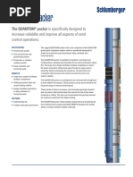API 11D1 Packers and Bridge Plugs | PDF