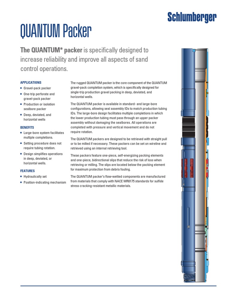 Quantum Packer | PDF | Manufactured Goods | Mechanical Engineering