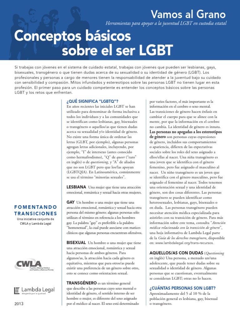 Apoyo a Jóvenes LGBT en Custodia Estatal | PDF | Transgénero | Estudios ...