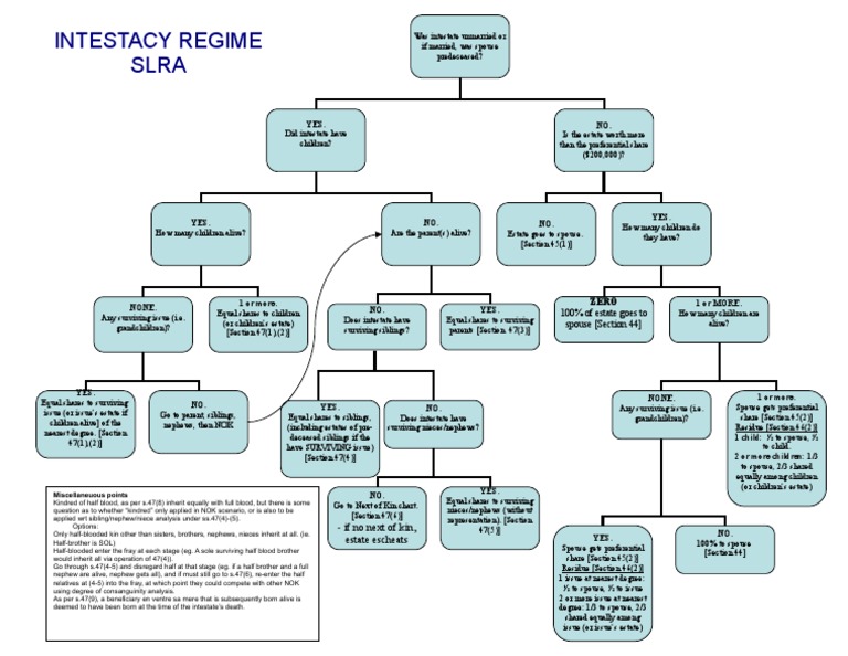 Intestacy SLRA Chart-1 | Download Free PDF | Intestacy | Virtue