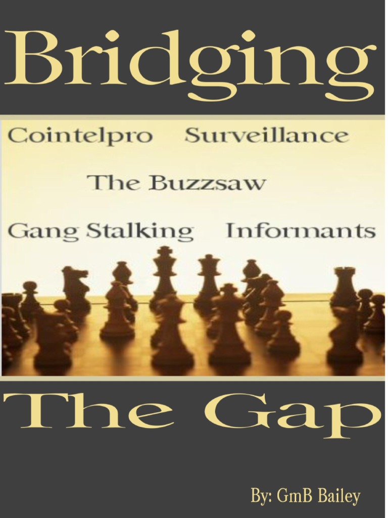 Bridging The Gap | PDF