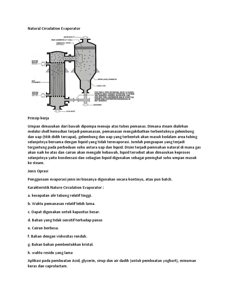 Natural Circulation Evaporator | PDF