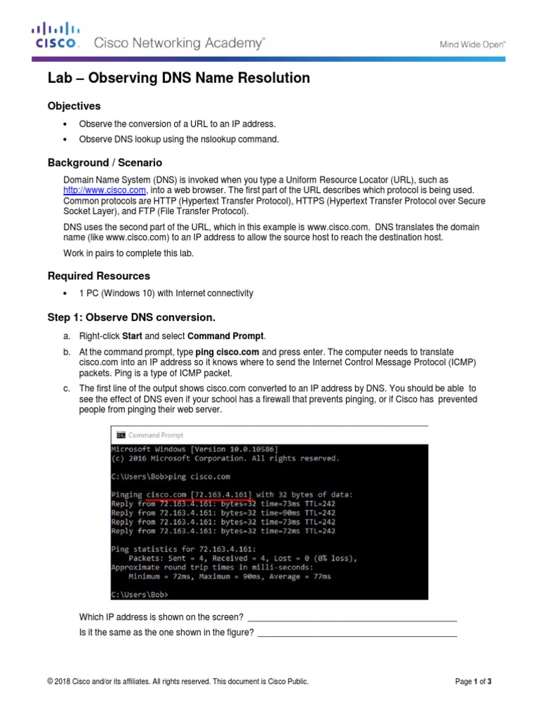 5.3.1.3 Lab - Observing DNS Name Resolution | PDF | Domain Name System | Hypertext Transfer Protocol