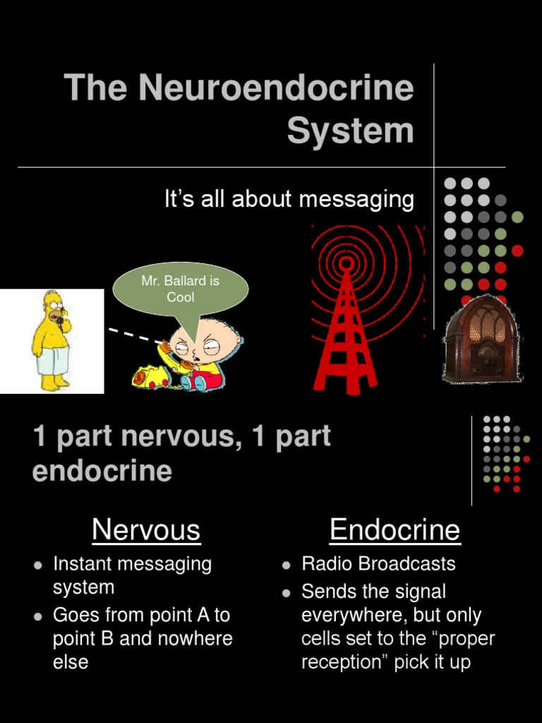 The Neuroendocrine System | PDF | Hormone | Endocrine System