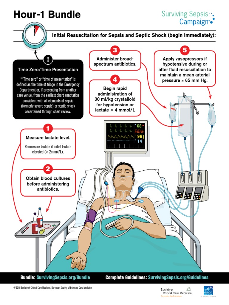 Surviving Sepsis Hour 1 Bundle Infograph | PDF | Sepsis | Shock ...