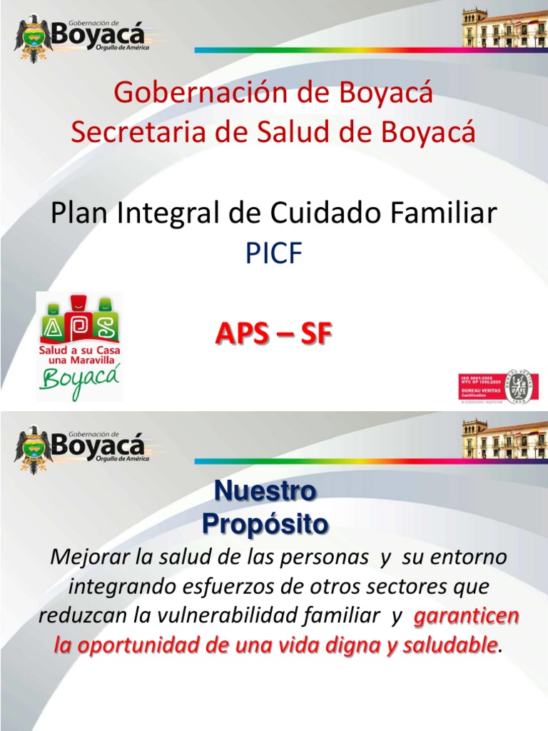 Picf Plan Integral Cuidado Familiar | PDF | Condicion cronica | Bienestar