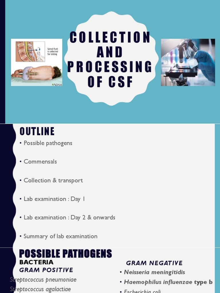 Collection and Processing of CSF | PDF | Meningitis | White Blood Cell